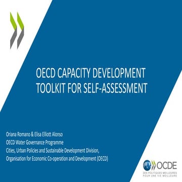 A Capacity Development Toolkit | PDF