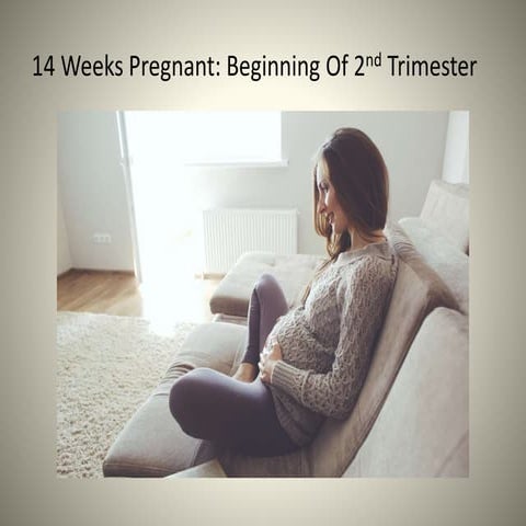 14 Weeks Pregnant: What to Expect | Pregnancy Week By Week | PPT