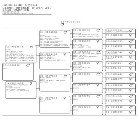 15 1036232 ped(1) | PDF