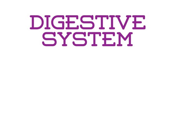 Digestive System Grade 4 igcse easy notes ppt | PPT | Nutrition ...