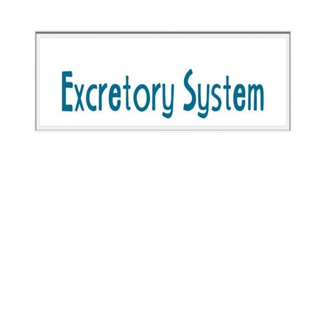 Excretory system ppt | PPT