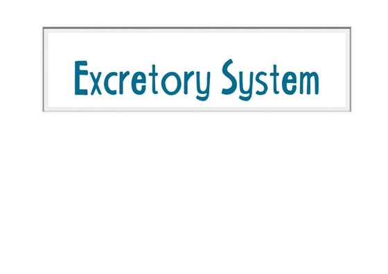 Excretory system | PPT