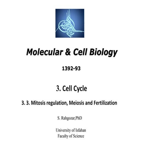 15.cell cycle - C- cell biology | PPT
