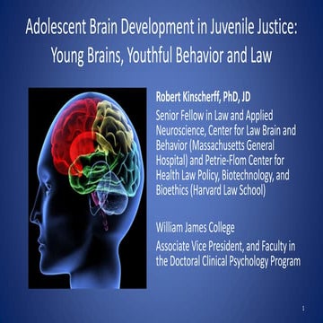 Robert Kinscherff, Adolescent Brain Development in Juvenile Justice ...