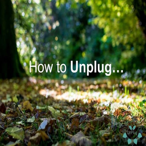 Chris Flack , Co-Founder at Unplug | PPTX | Email | Internet