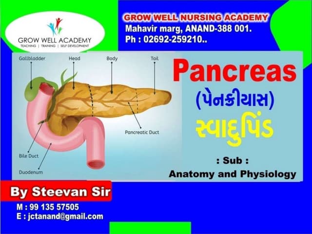 Histology & Function of The Pancreas | PPT