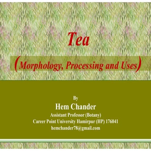 15. Tea.pdf