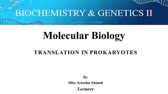 Translation in Prokaryotes | PPTX