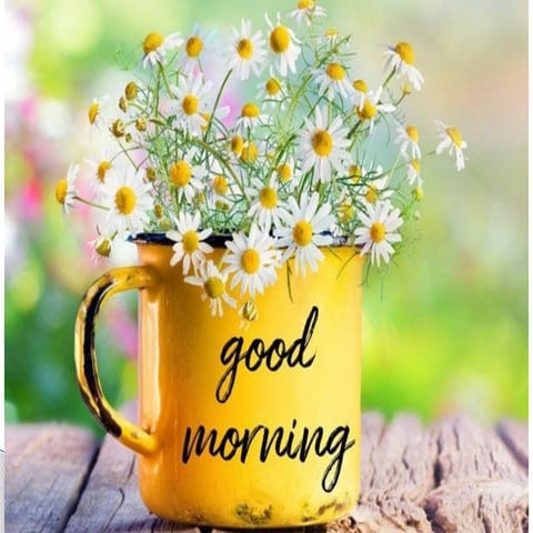 15. guided endodontics important for dental students | PPTX