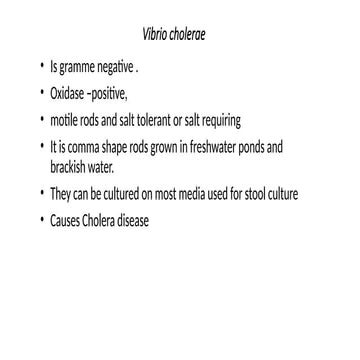 15. Vibrio cholerae.pptx medical bacteriology | PPT