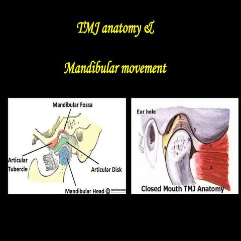 TMJ MOTION MEASUREMENTS | PPTX