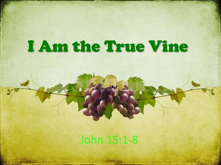 I Am the True Vine