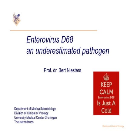 Enterovirus D68: an underestimated pathogen - Prof. Niesters | PDF