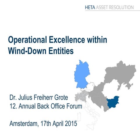 Operational Excellence within Wind-Down Entities | PDF