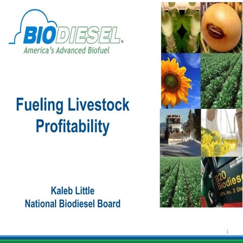 Kaleb Little - Fueling Livestock Profitability | PPT