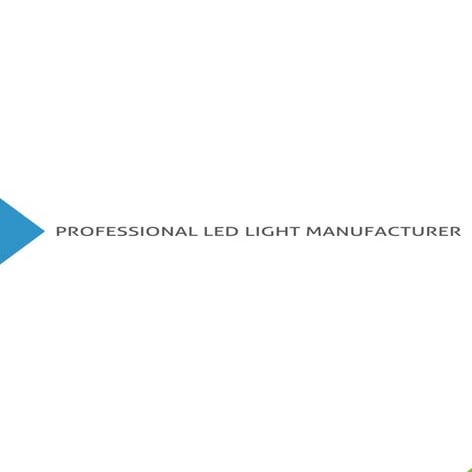LED Light Manufacturer Catalog | PDF