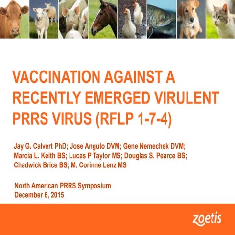 Dr. Jay Calvert - Vaccination Against a Recently Emerged Virulent PRRS ...