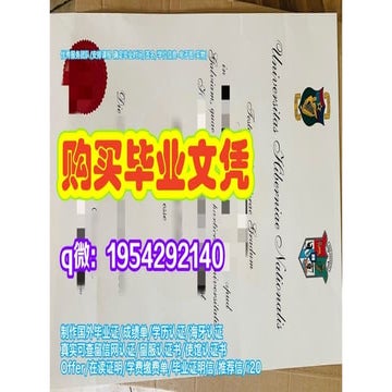 最新版美国圣弗朗西斯学院毕业证（SFC毕业证书）原版定制文凭学历认证 | PPTX