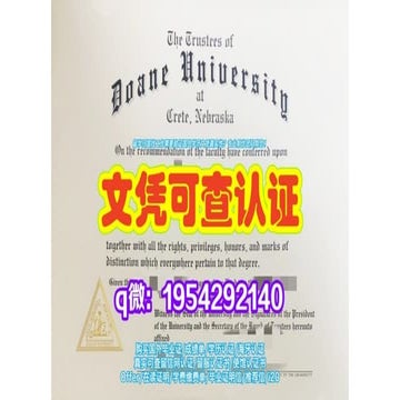 York University Transcripts | PPTX