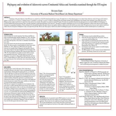 Poster Presentation | PPT