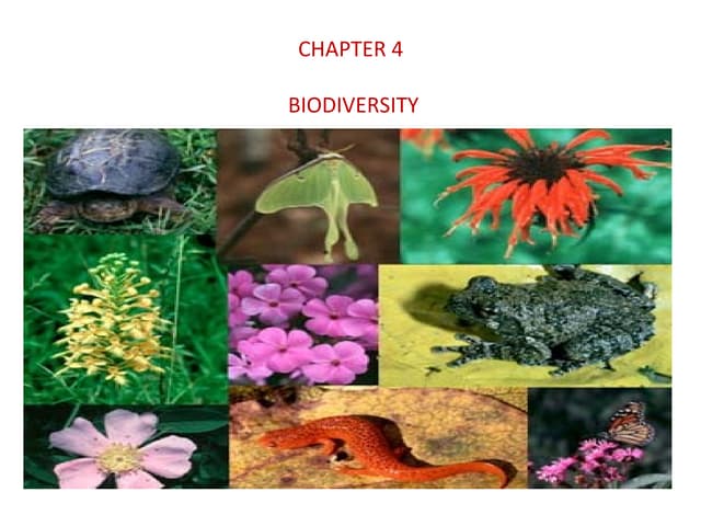Biodiversity & Conservation | PPT
