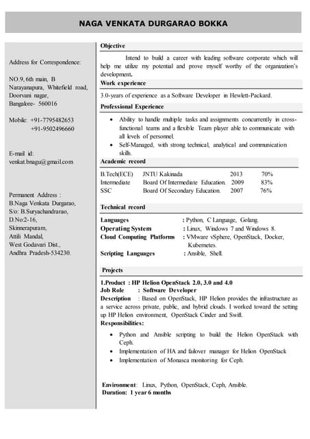 Curriculum Vitae-Nitin | PDF