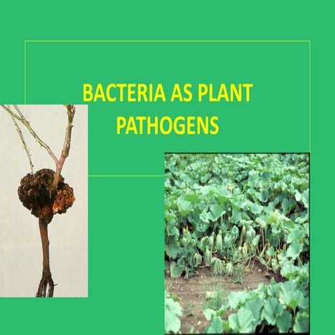 plant pathogeni bacteria and 15302738.ppt