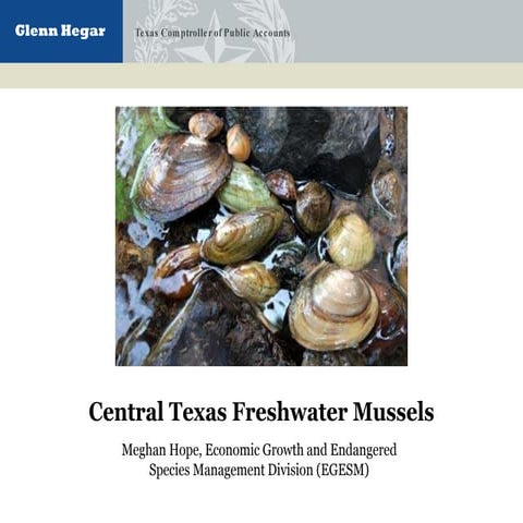 Central Texas Freshwater Mussels Research Program, Meghan E. Hope | PPTX