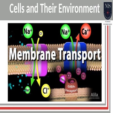 Cell transport.ppt n | PPT