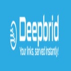 Deepbrid | PDF