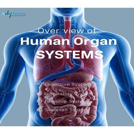 Functions of Human Organ Systems | How the Body Works Together | PDF