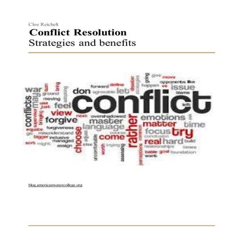 Conflict report | PDF