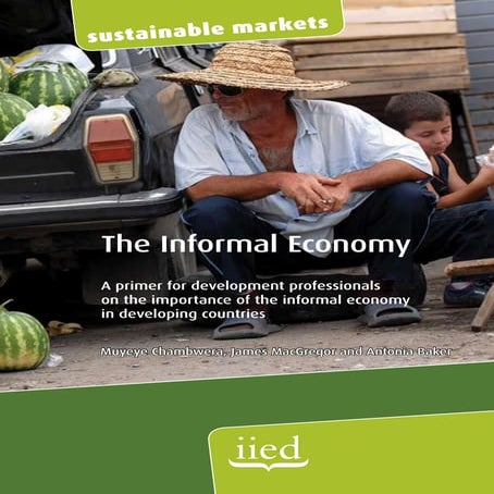 The Informal Economy: A primer for development professionals on the ...