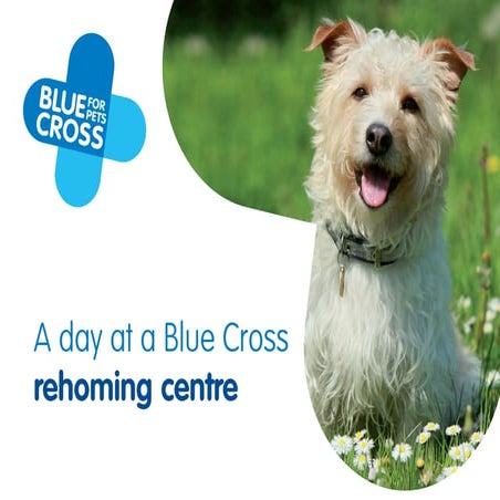 Blue Cross rehoming centre | PDF