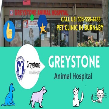 GREYSTONE ANIMAL HOSPITAL at North Burnaby | PPT