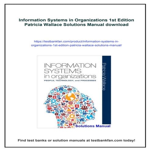 Information Systems in Organizations 1st Edition Patricia Wallace ...