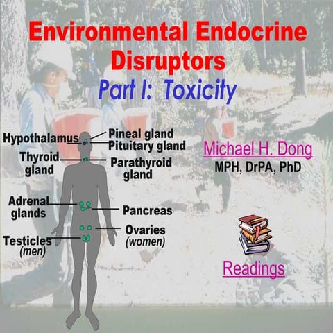 157512245 endocrine disruptors toxicity.ppt
