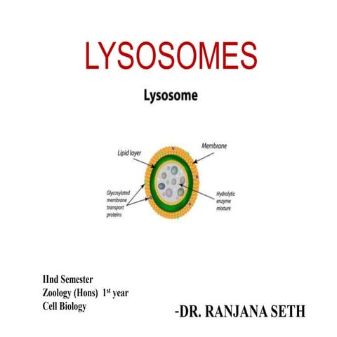 1585118470_Z(H)-II-LYSOSOMES.pdf