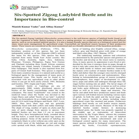 1585768721six_spotted_zigzag_ladybird_beetle.pdf