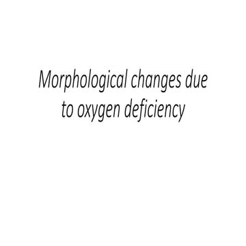 1589270667-43-morphological-changes-due-to-oxygen-deficiency.pptx