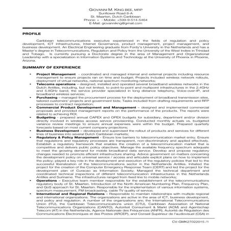 27022015 - Resume Giovanni King | PDF
