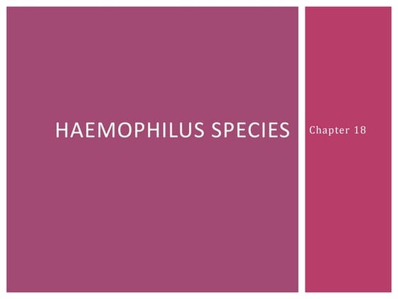 Haemophilus.ppt BACTERIOLOGY Haemophilus | PPT