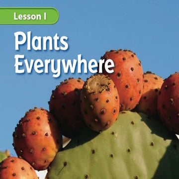 Plants.learning how to read | PPTX