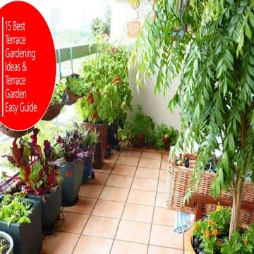 15 Best Terrace Gardening Ideas & Terrace Garden Easy Guide.pptx
