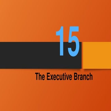 Bureaucracy in American POlitics for University level courses | PPTX