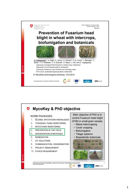 Slideshare presentation fusarium | PPT