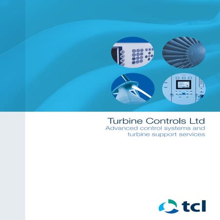 TCL Products and Services | PDF