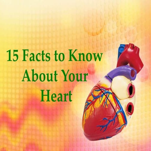 15 Facts to Know About Your Heart | PPTX