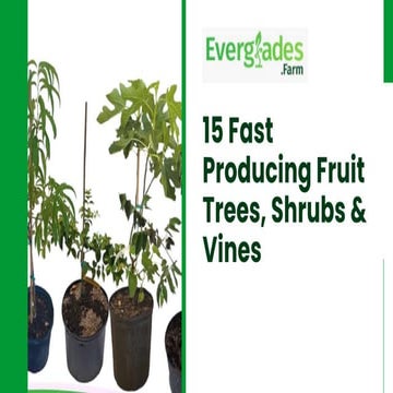 15 Fast Producing Fruit Trees, Shrubs & Vines | PPT