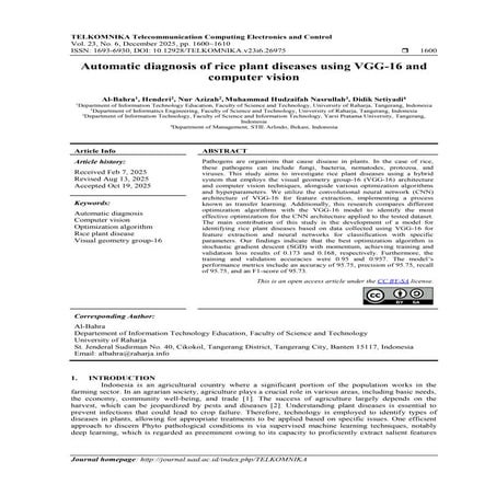 Automatic diagnosis of rice plant diseases using VGG-16 and computer ...